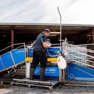 Cotter Crate Sheep + Lamb Handler Launched – Cotter Agritech