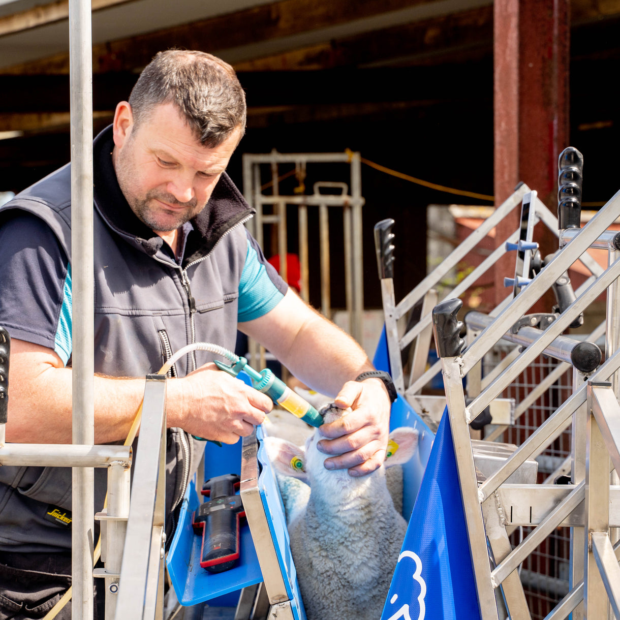 Cotter Crate Sheep + Lamb Handler – Cotter Agritech