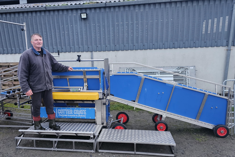 Cotter Crate Sheep Handler – Cotter Agritech