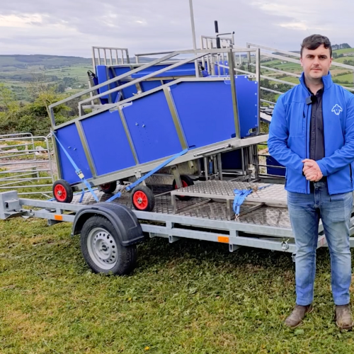 Cotter Crate Sheep Handler – Cotter Agritech