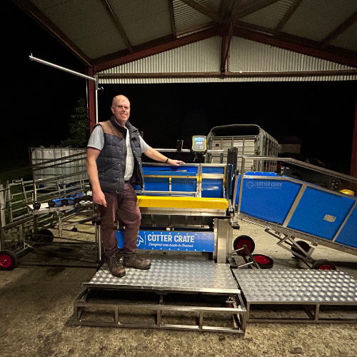 Cotter Crate Sheep Handler – Cotter Agritech